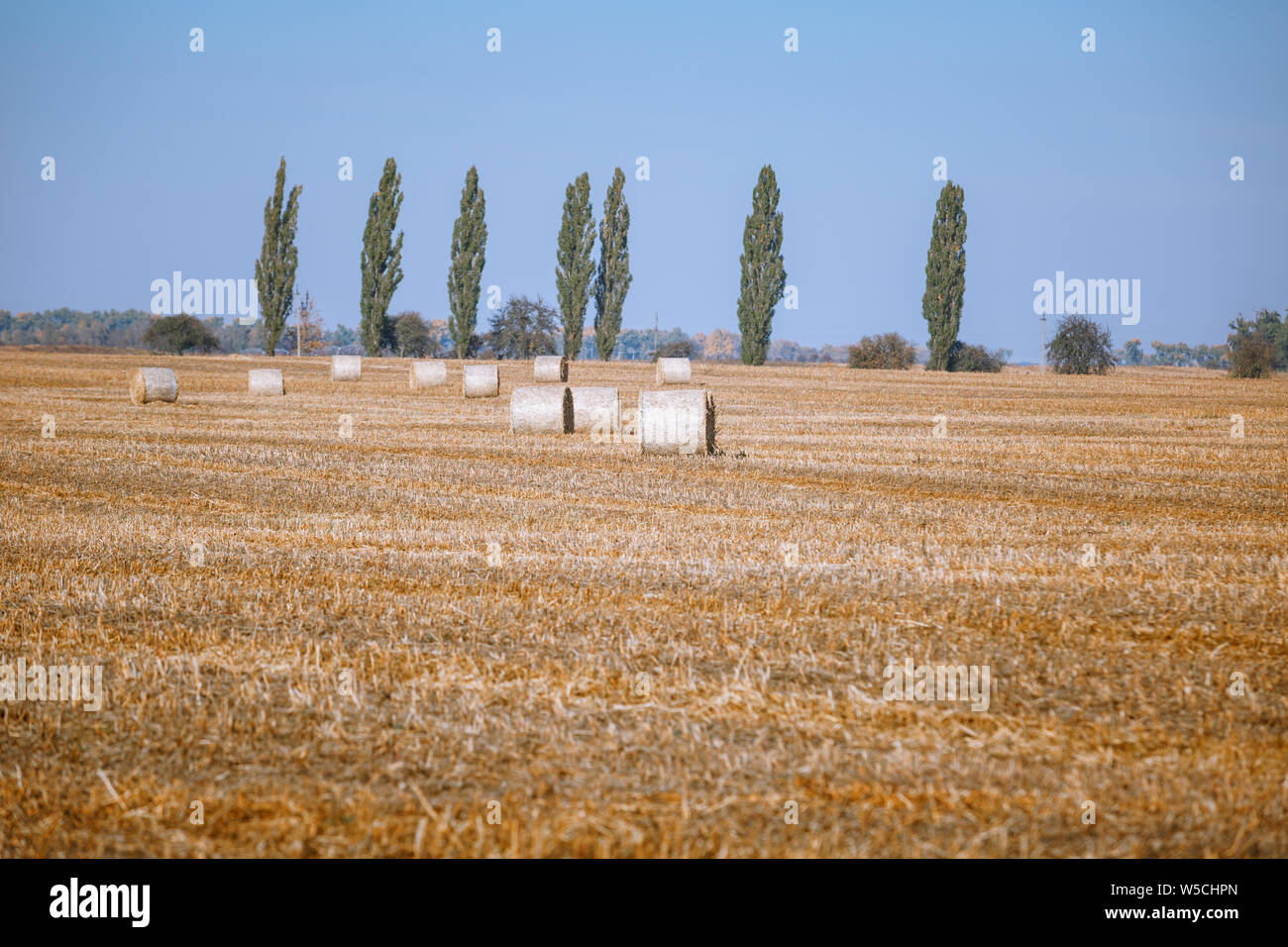 Hay bail harvesting in wonderful autumn farmers field landscape with ...
