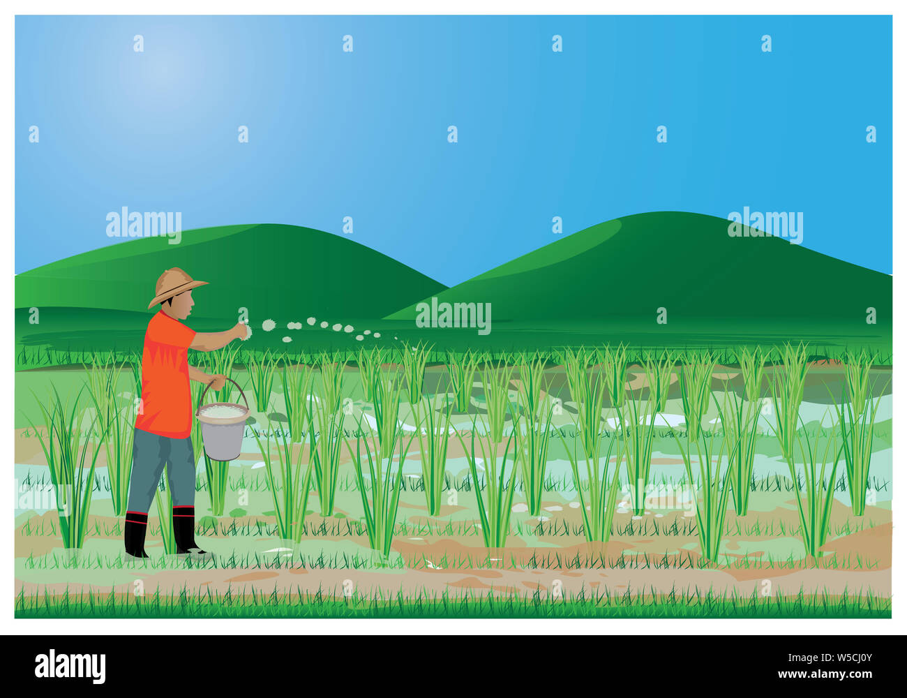Farmer sow manure to rice plant vector design Stock Photo - Alamy