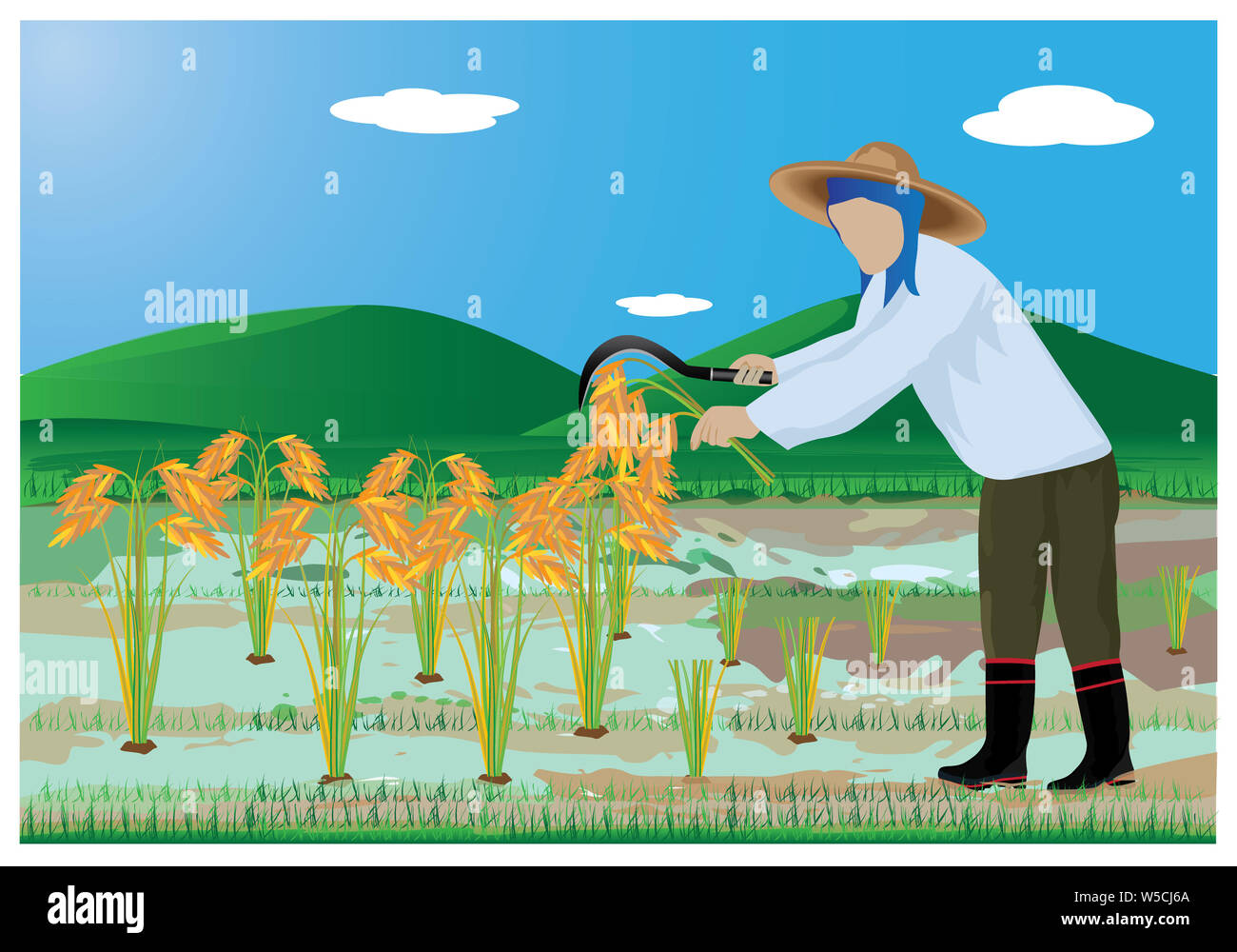 Farmer harvest rice in paddy field Stock Photo - Alamy