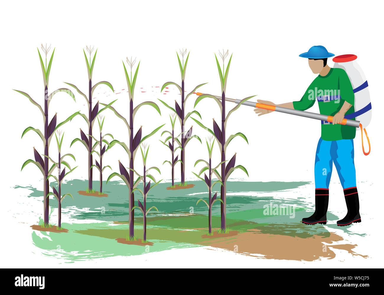 agriculturist spray corn plant vector design Stock Photo - Alamy