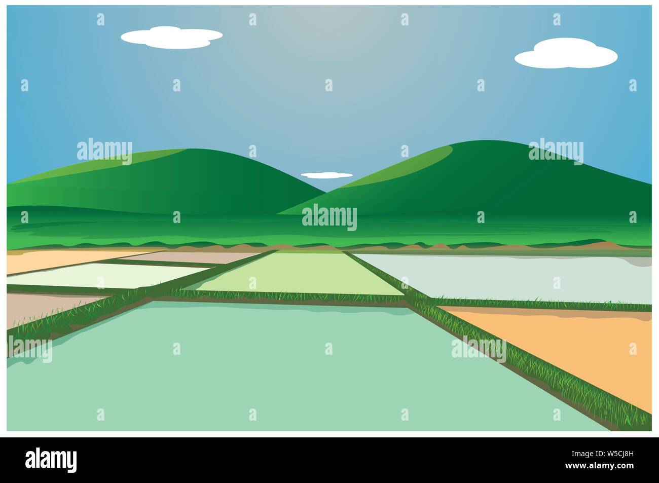 Paddy field view Cut Out Stock Images & Pictures - Alamy