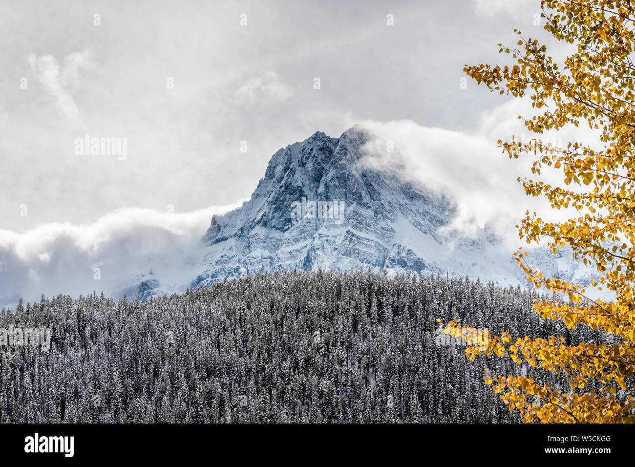 Chephren Lake with reflection at Banff National Park, Canada Stock ...