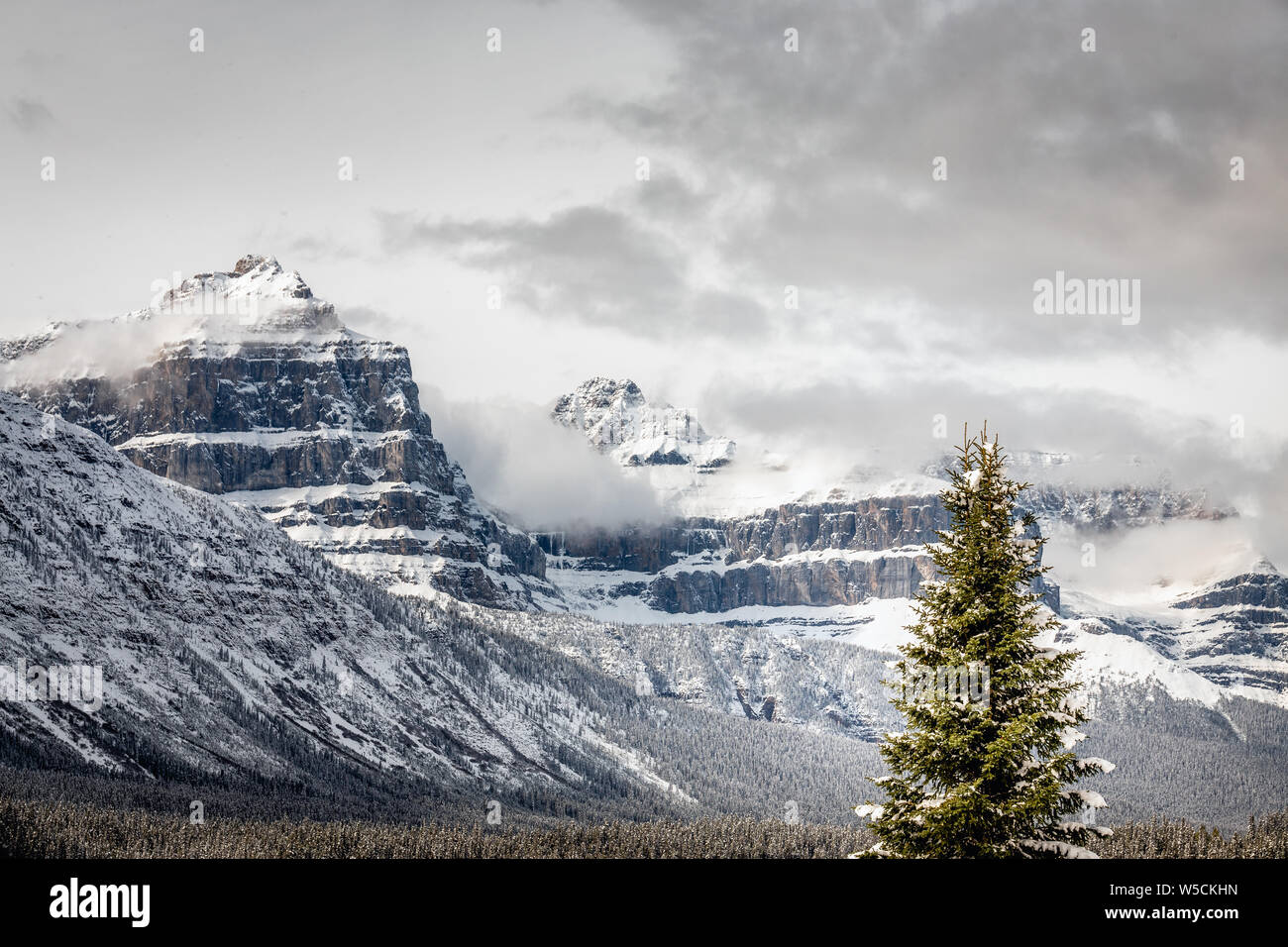Chephren Lake with reflection at Banff National Park, Canada Stock ...
