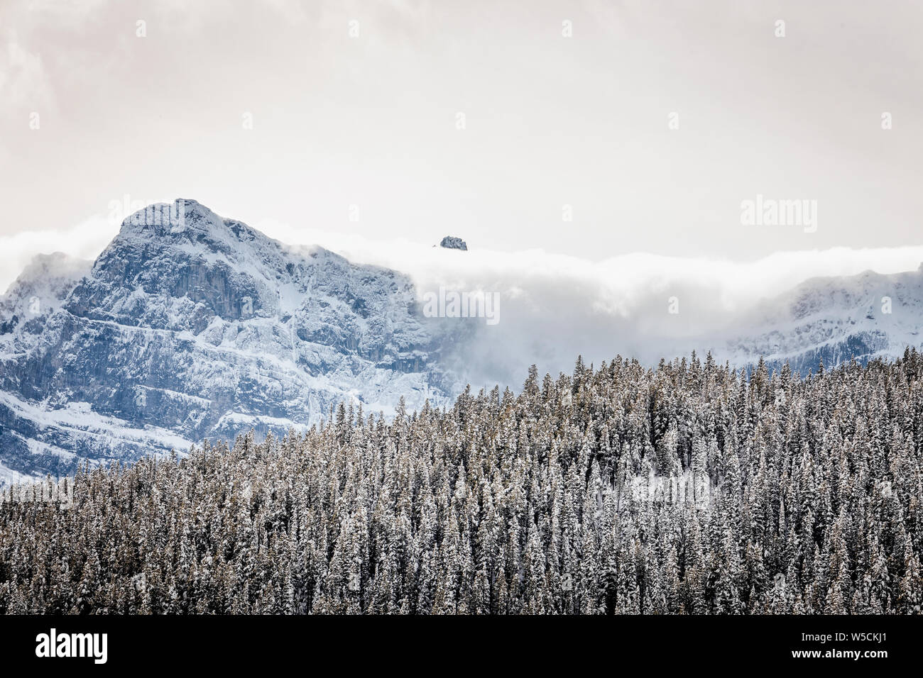 Chephren Lake with reflection at Banff National Park, Canada Stock ...