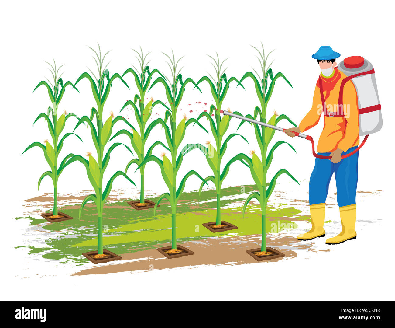 Corn Plant Cartoon