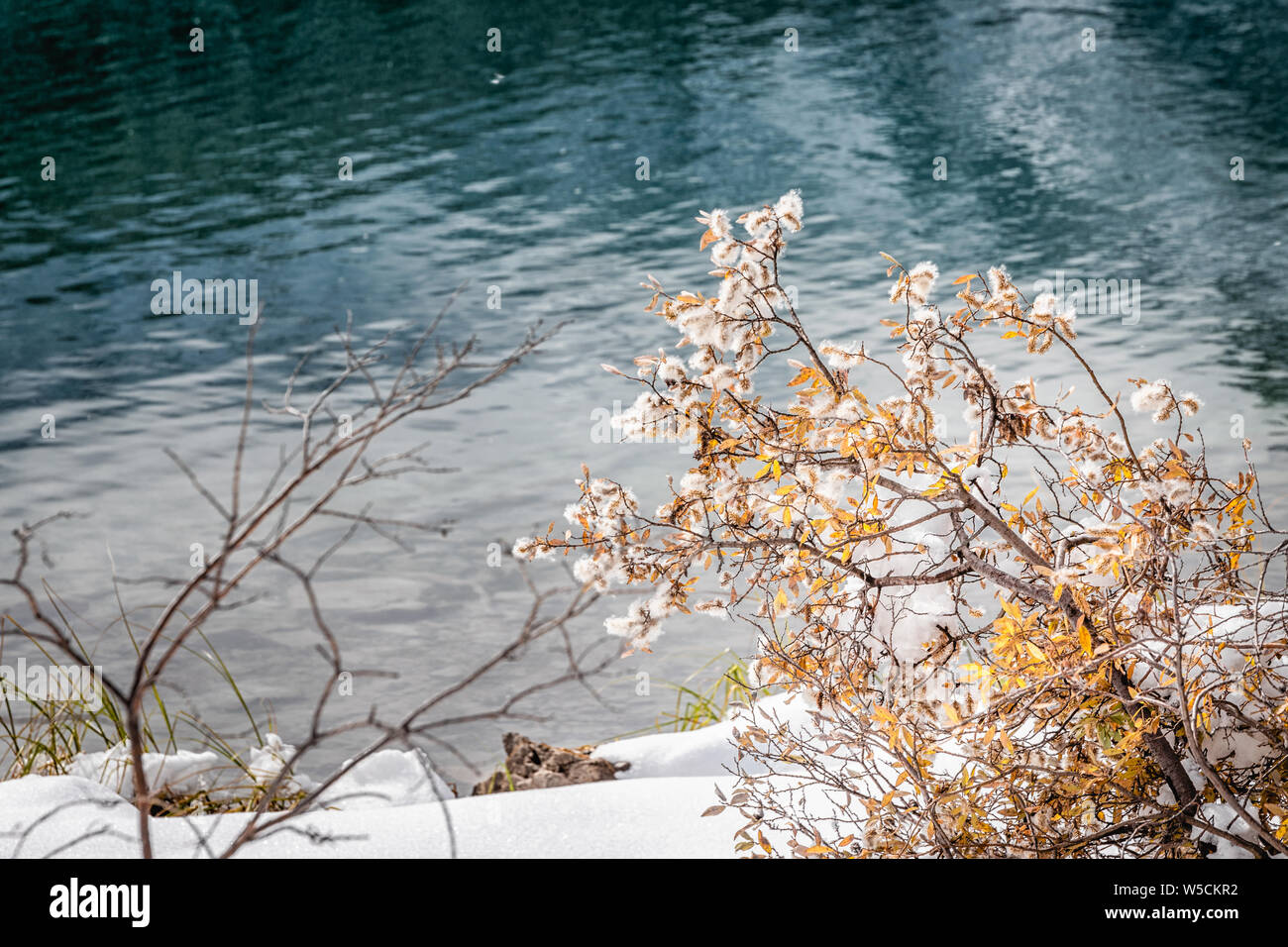 Chephren Lake with reflection at Banff National Park, Canada Stock ...