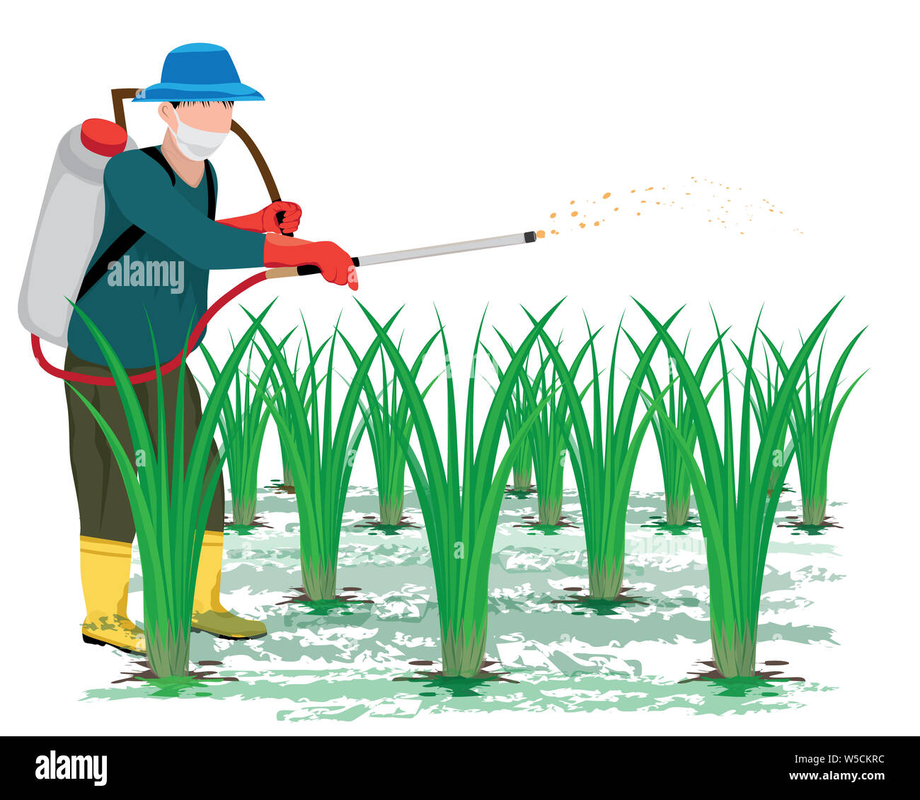 farmer spray rice plant vector design Stock Photo - Alamy