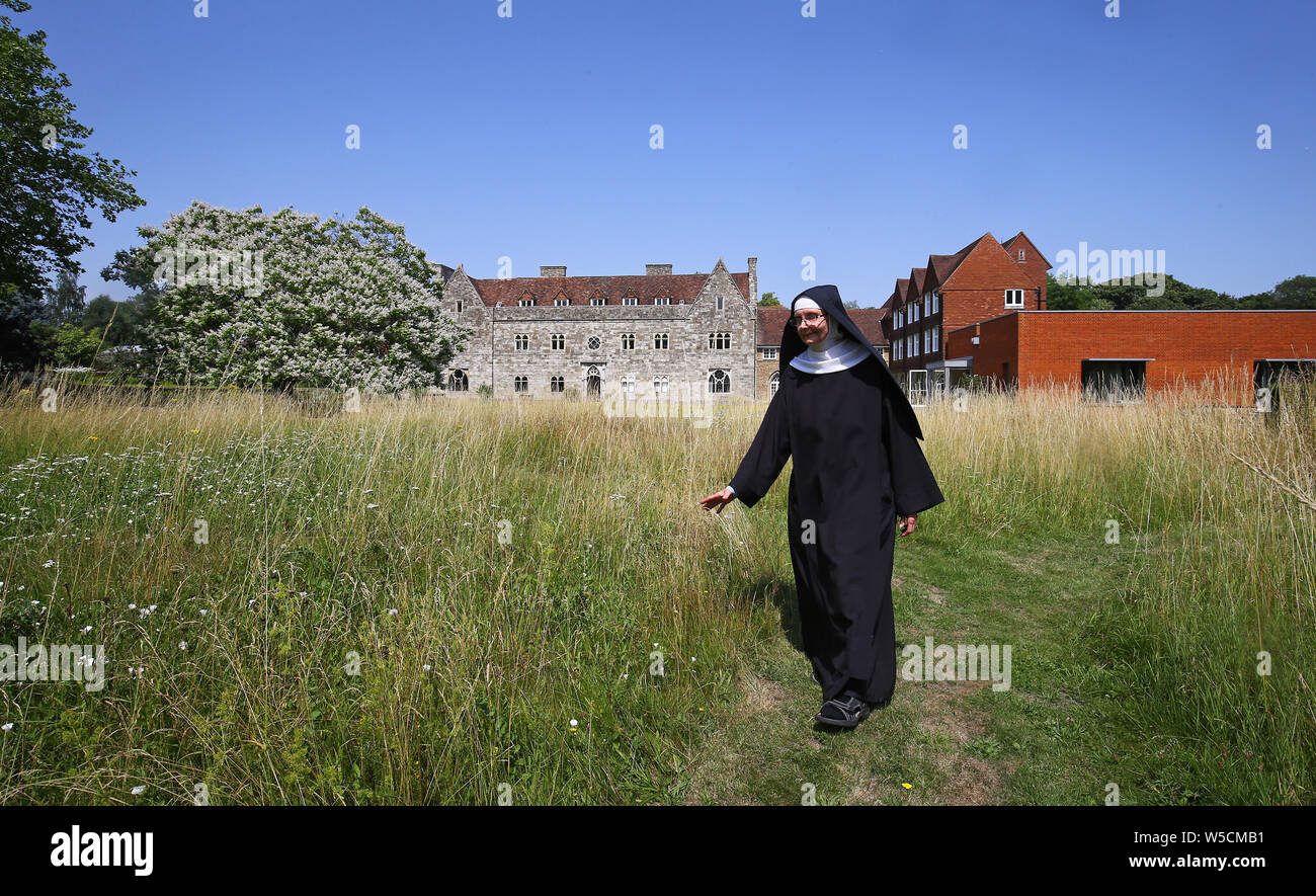Mother mary david enjoys wild garden st hi-res stock photography and ...