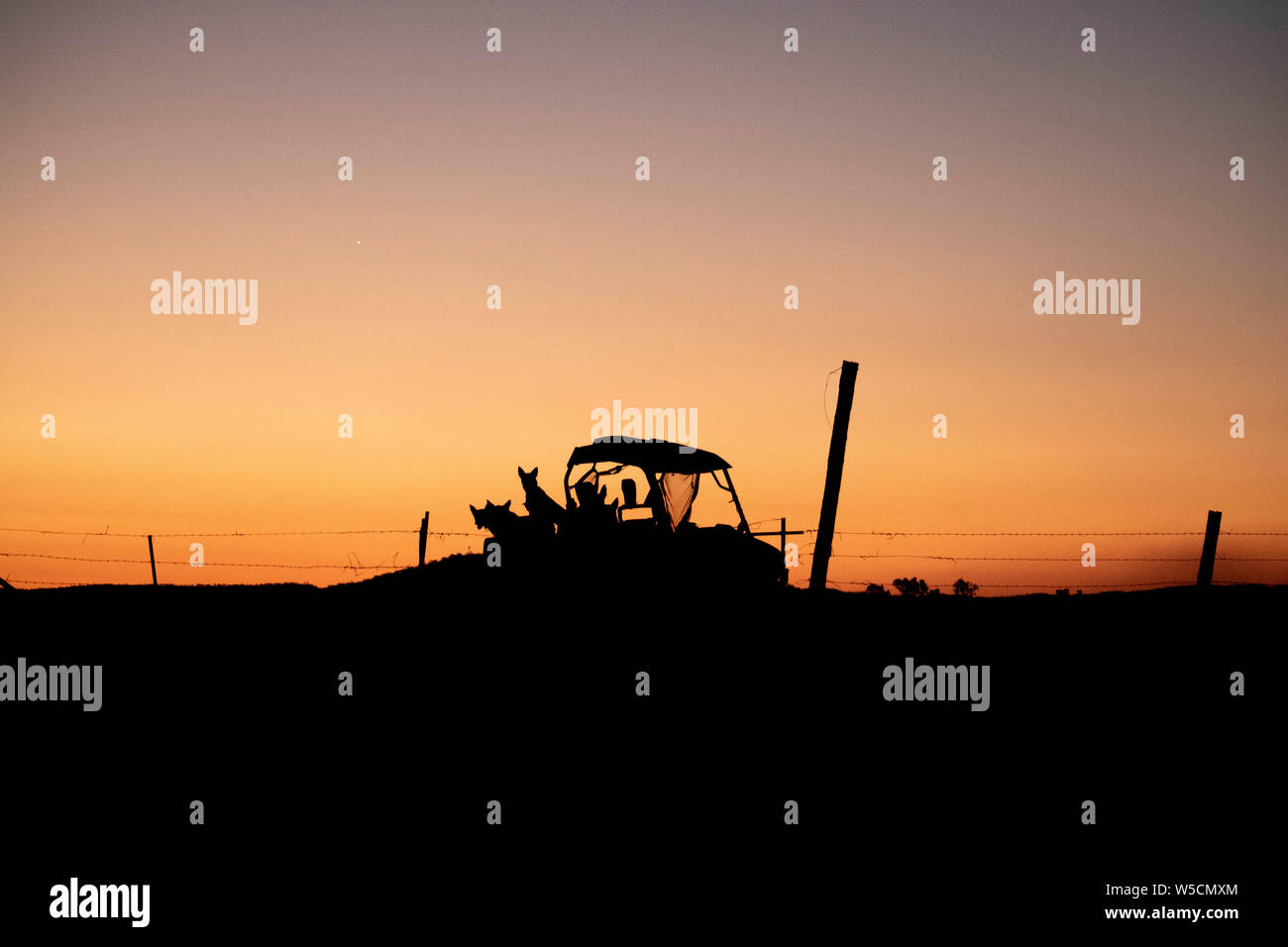 Kelpies at sunset hi-res stock photography and images - Alamy