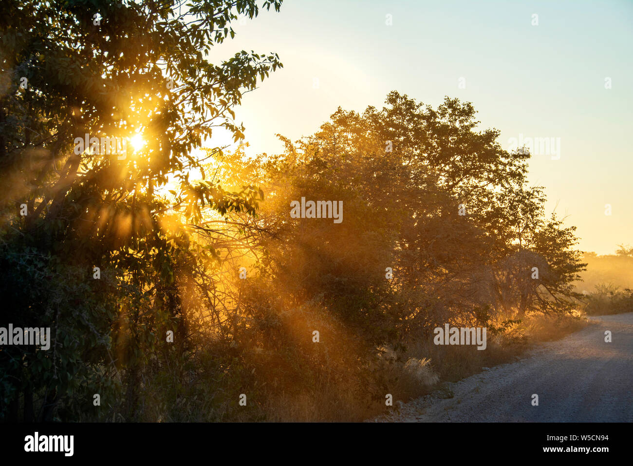 travel northern namibia Stock Photo - Alamy