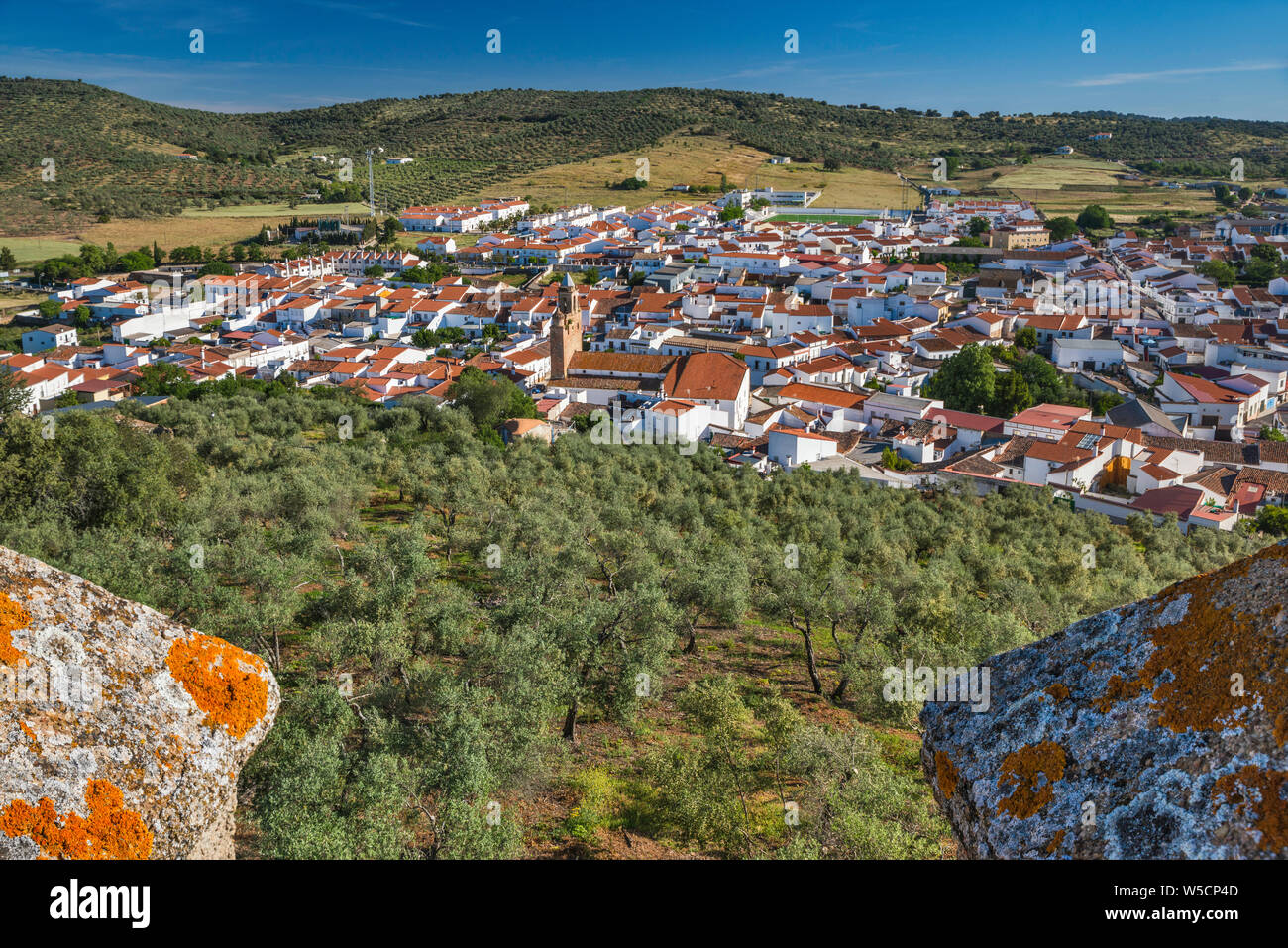 Lichens growing on merlons at battlement, Moorish castle over village ...