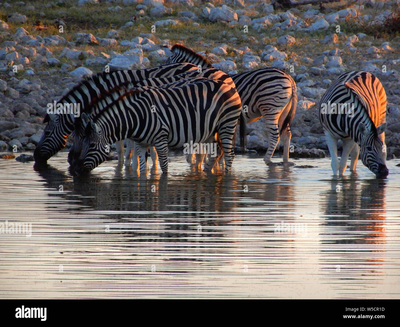 travel northern namibia Stock Photo - Alamy