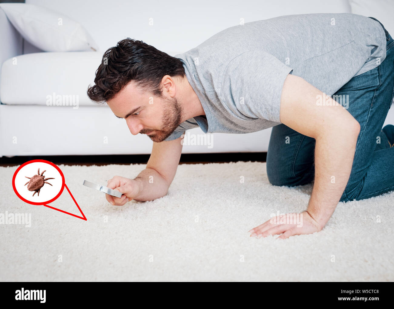 Dust mites hi-res stock photography and images - Alamy