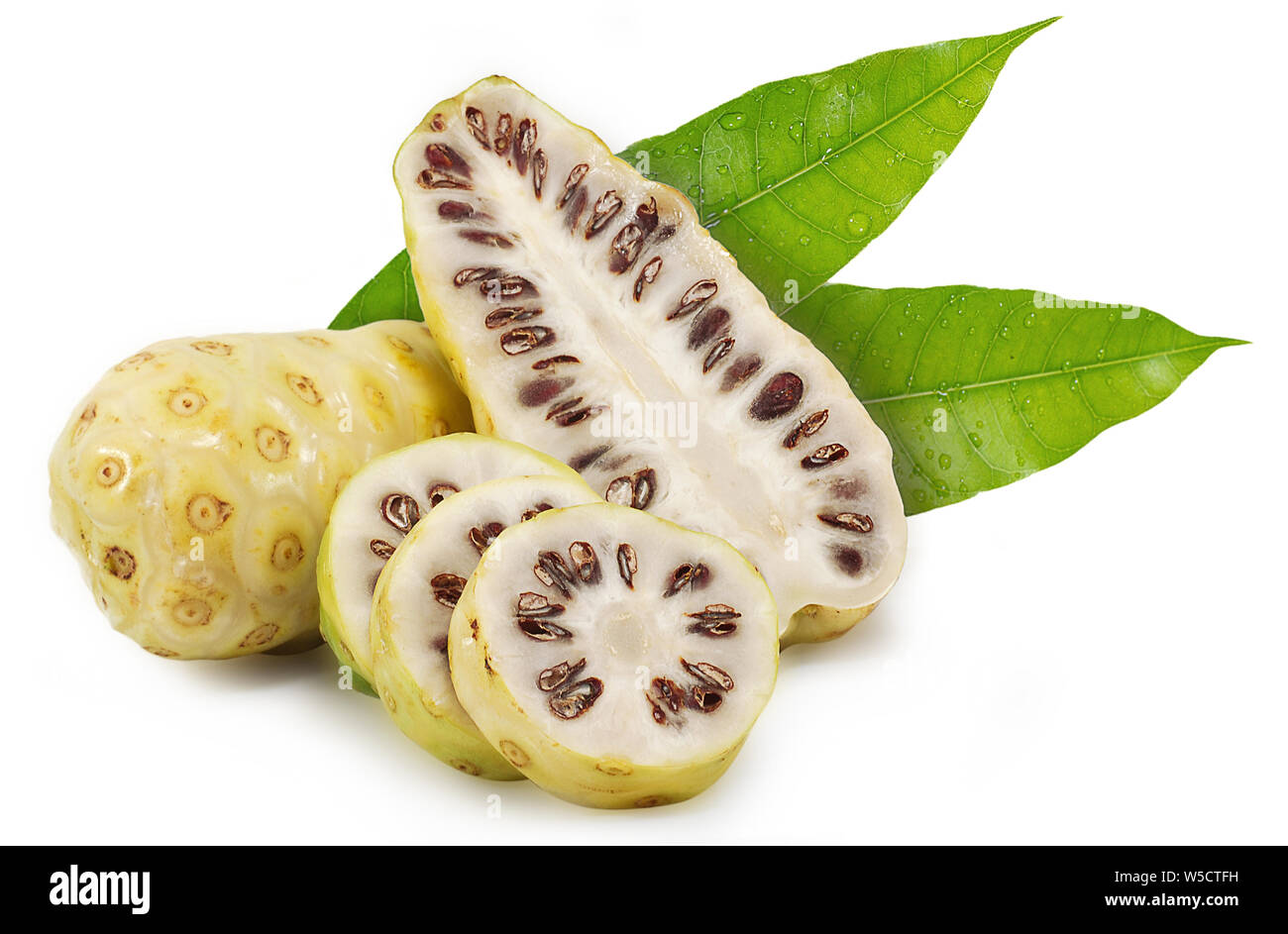 Indian mulberry morinda citrifolia Cut Out Stock Images & Pictures - Alamy