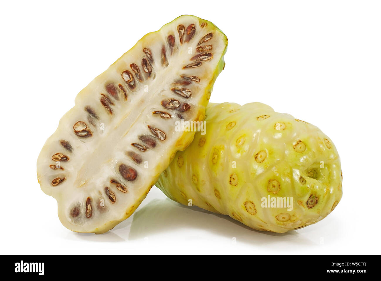 Noni herb hi-res stock photography and images - Alamy