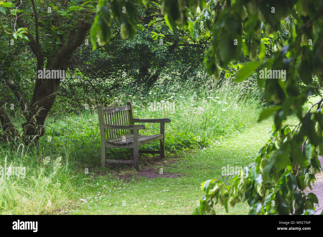 hidden wooden bench in garden Stock Photo - Alamy