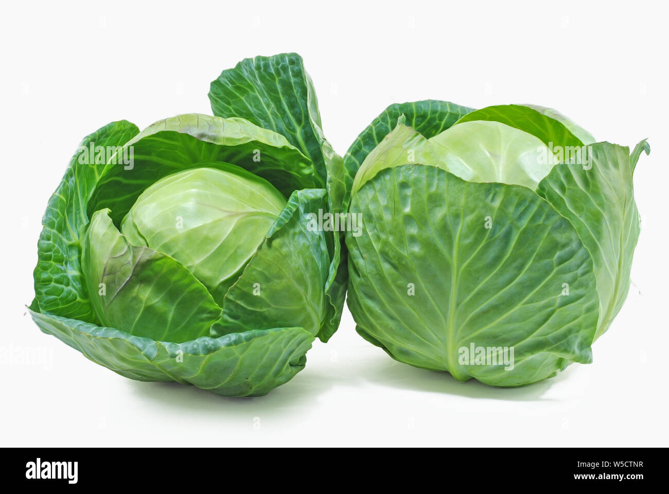 cabbage isolated on white background Stock Photo - Alamy