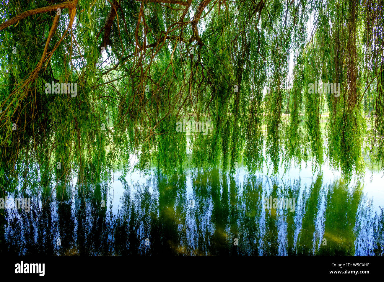 The River Eure, a tributary of the Seine, in Pont-de-l'Arche, Normandy ...