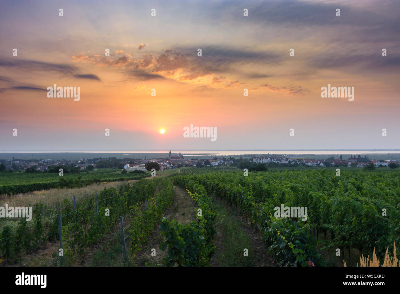 Rust: Neusiedler See (Lake Neusiedl), Rust old town, Protestant and ...