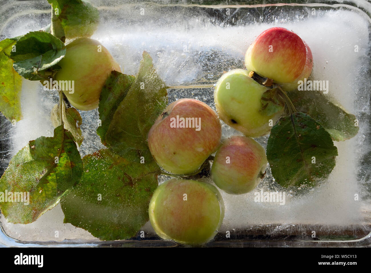 Background fresh season apple in ice cube with air bubbles Stock Photo ...