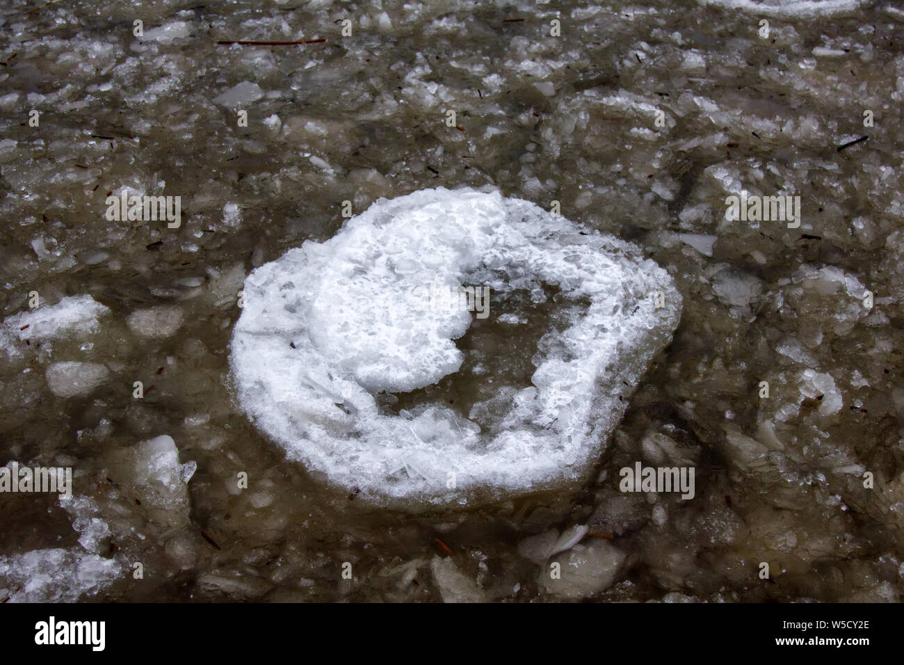 Pancake ice. Storm broke ice and treated ice floe Stock Photo - Alamy