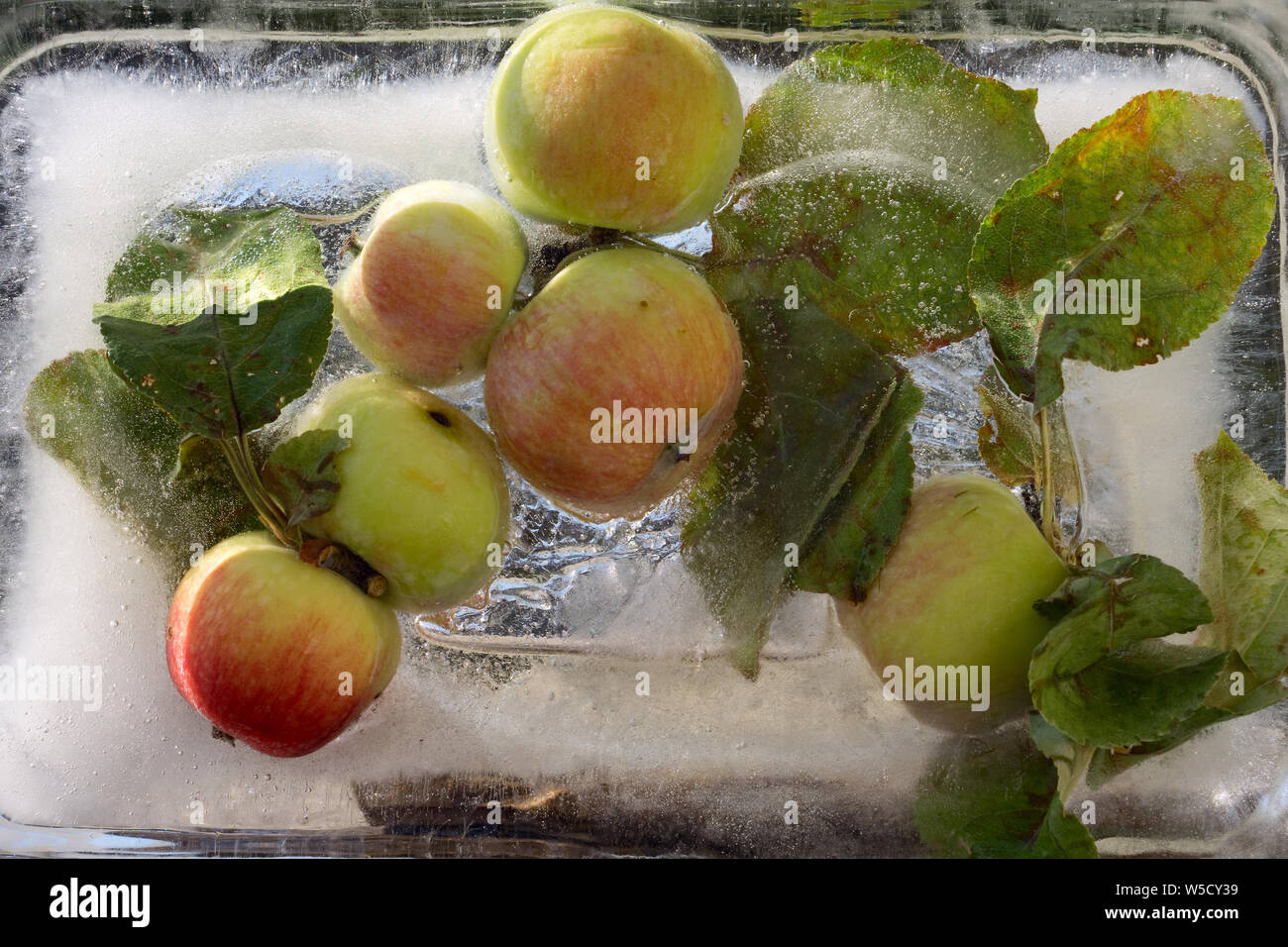 Background fresh season apple in ice cube with air bubbles Stock Photo ...