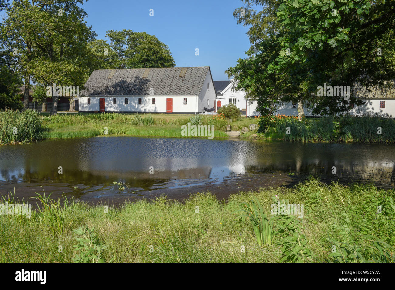 Lake on the countryside in Denmark Stock Photo - Alamy