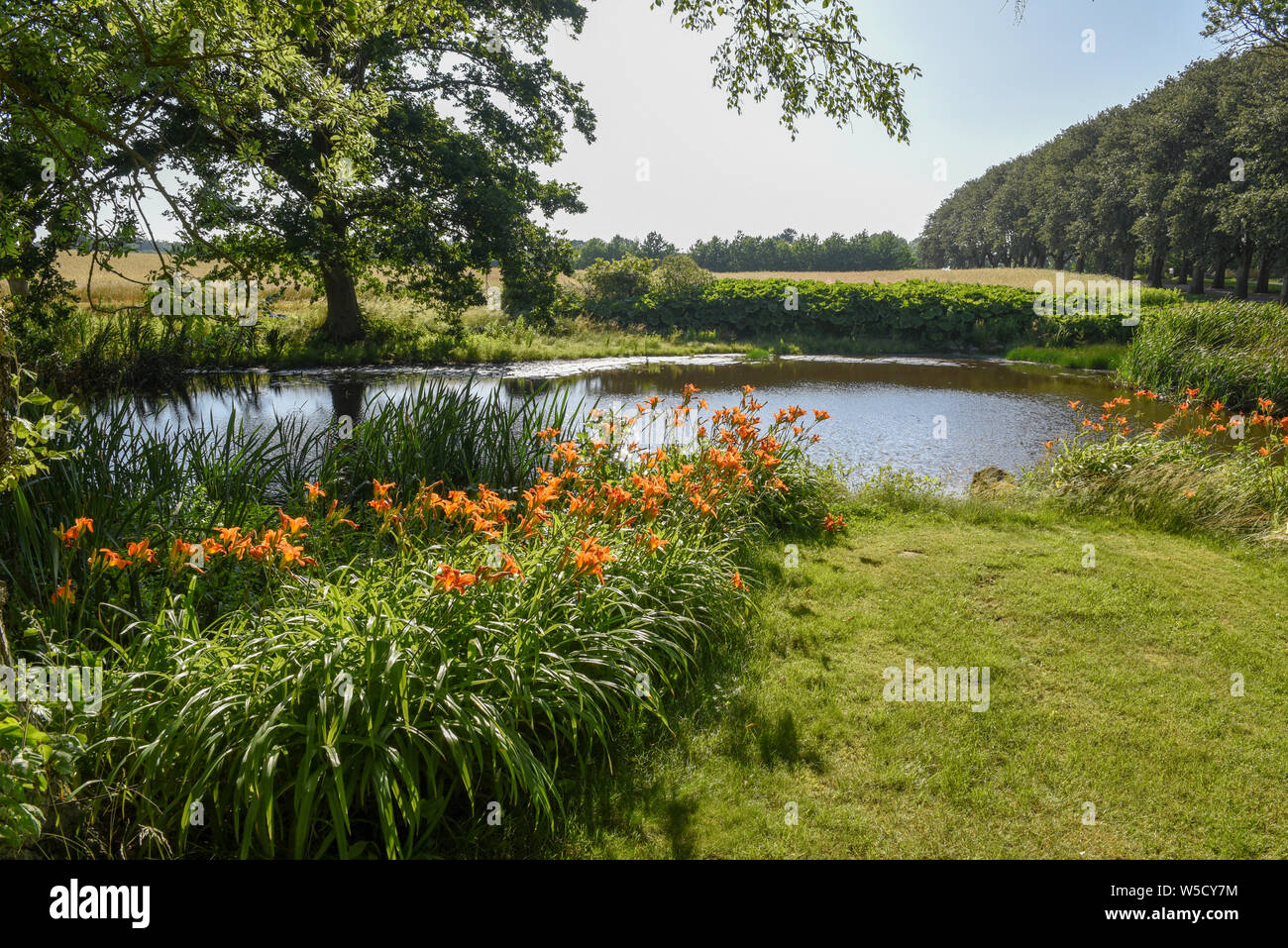 Lake on the countryside in Denmark Stock Photo - Alamy