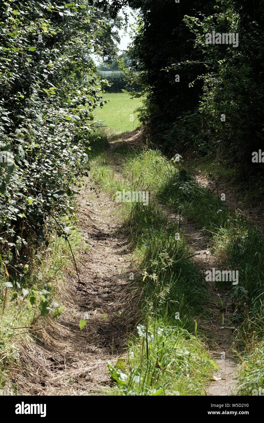 Styles on public rights of way, public footpath Stock Photo - Alamy