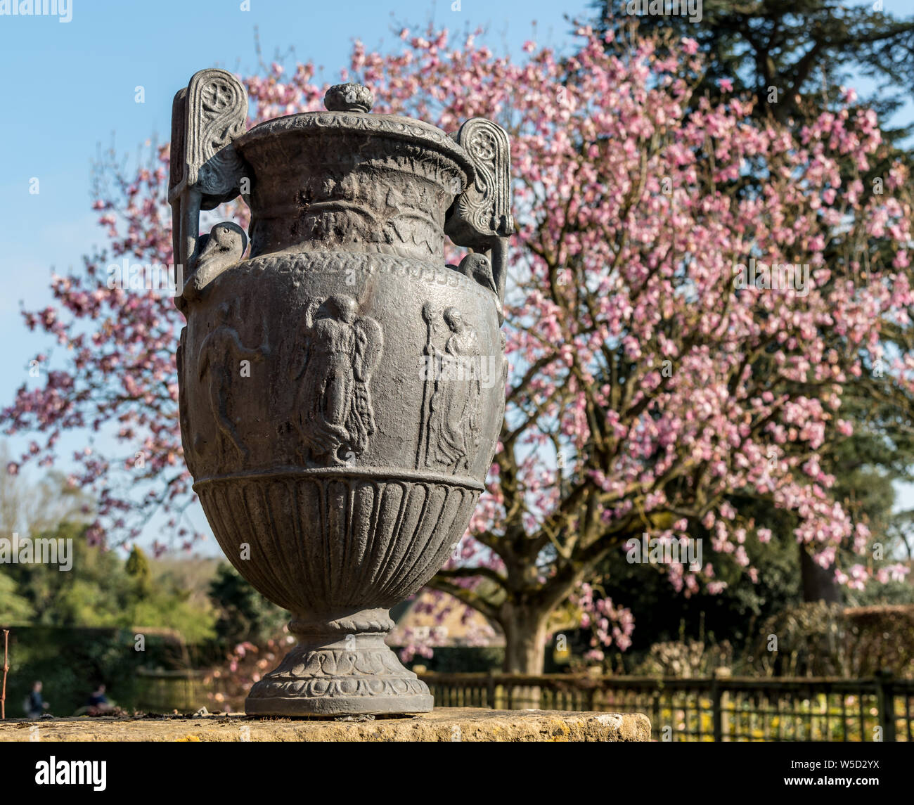 Decorative garden urn with flowering Magnolia tree on a sunny early ...