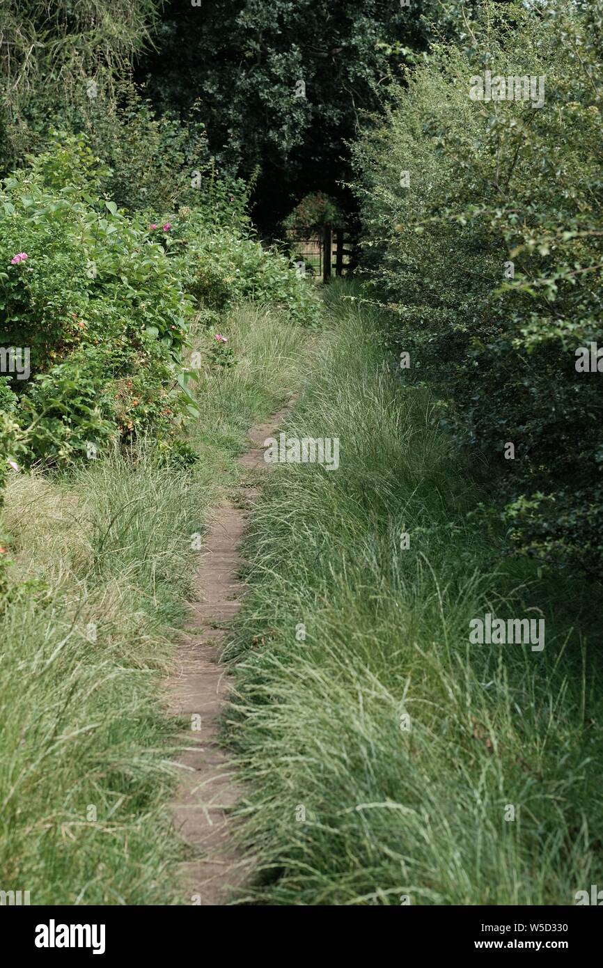 Styles on public rights of way, public footpath Stock Photo - Alamy