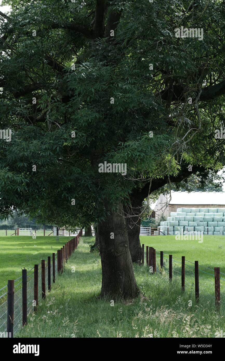 Styles on public rights of way, public footpath Stock Photo - Alamy