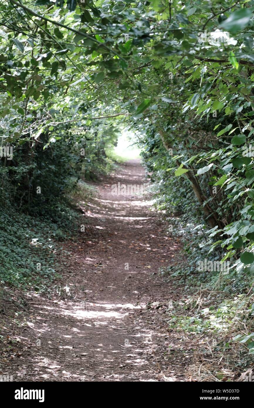 Styles on public rights of way, public footpath Stock Photo - Alamy