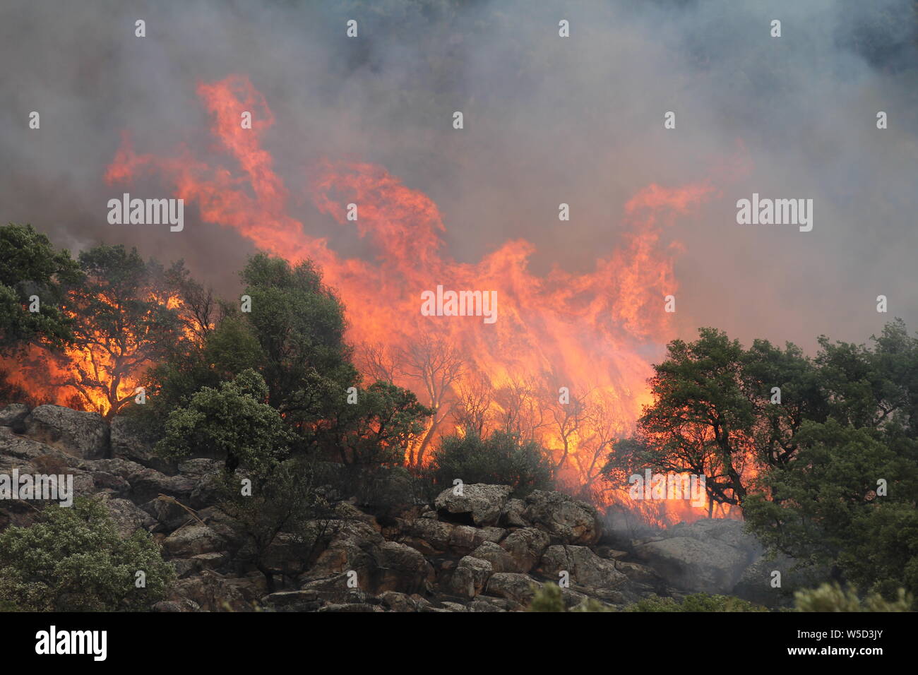 Pa foto foto hi-res stock photography and images - Alamy