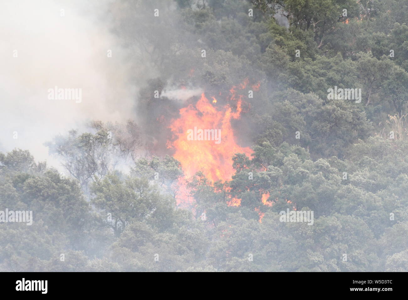 Canadair foto hi-res stock photography and images - Alamy