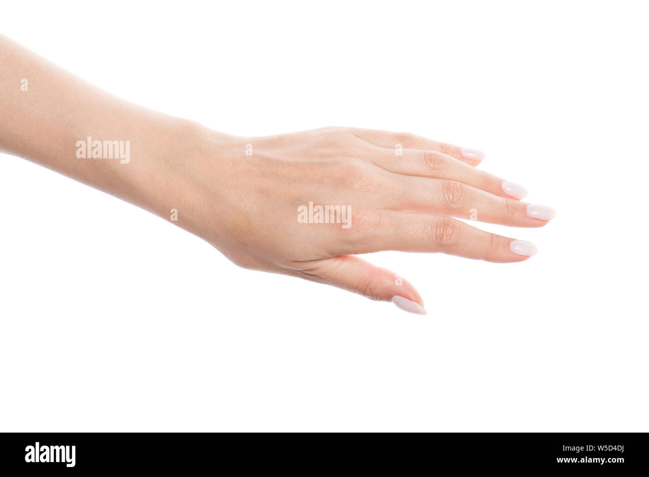 Female hand with white manicured nails isolated on white background ...