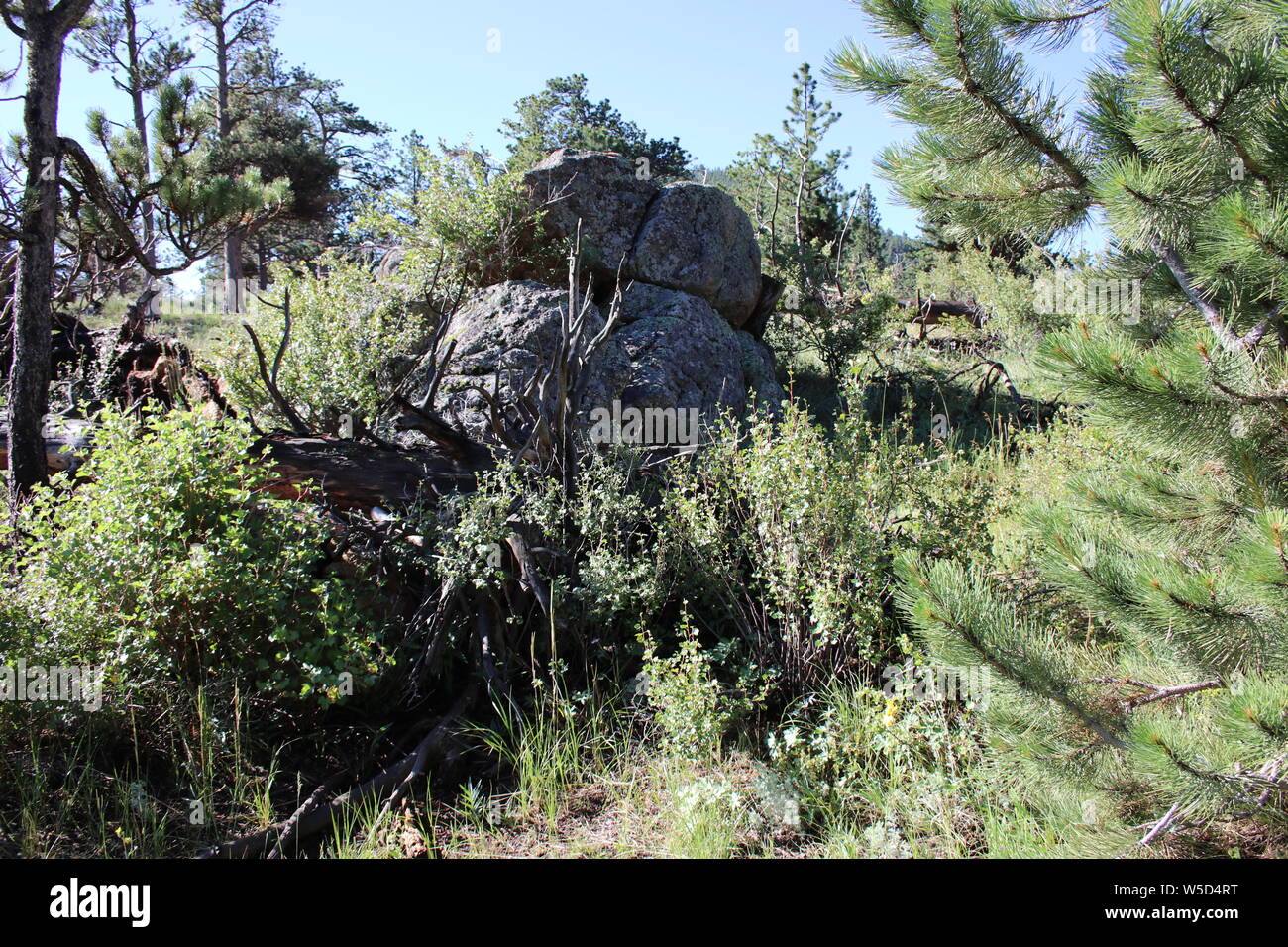 Estes hill hi-res stock photography and images - Alamy