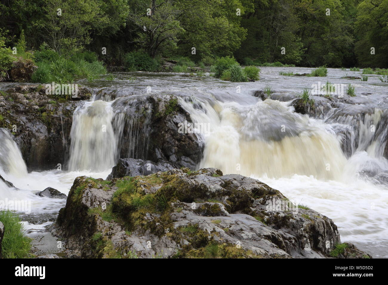 Cenarth waterfalls hi-res stock photography and images - Alamy
