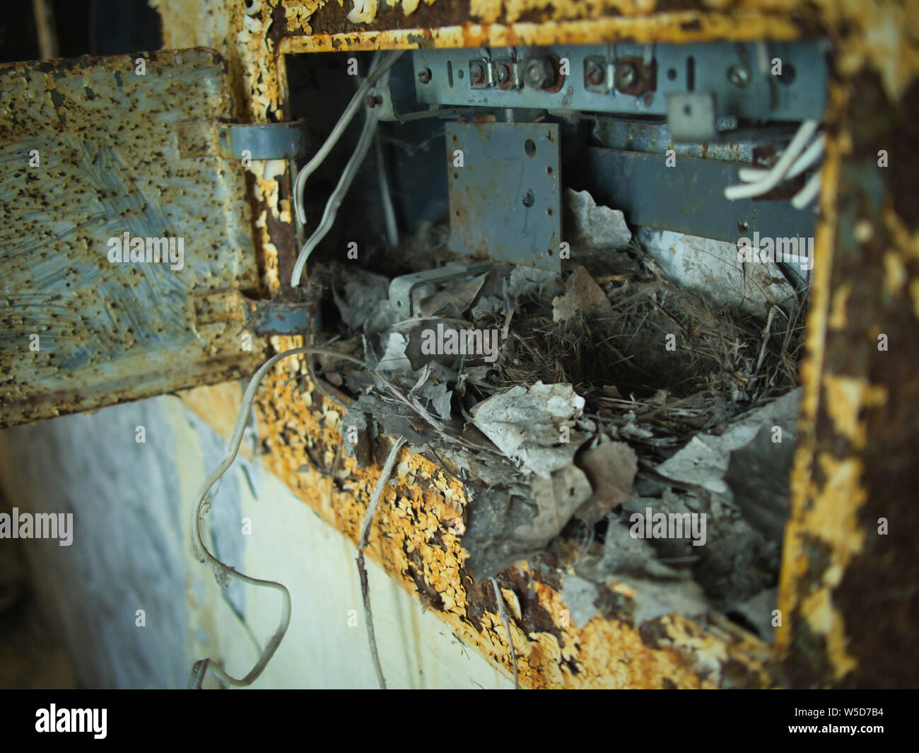 Destroyed bird nest hi-res stock photography and images - Alamy