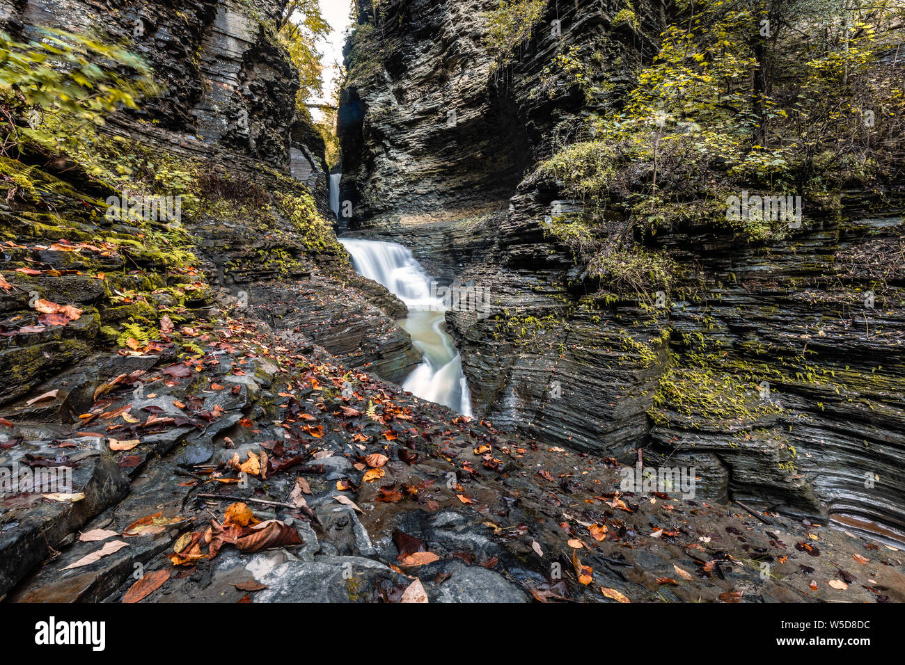 Watkins Glen Gorge Trail waterfalls canyon New York, USA Stock Photo ...