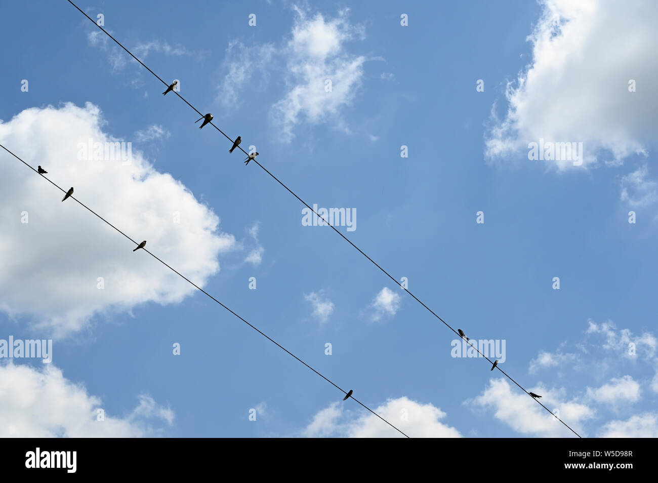 Telegraph lines hi-res stock photography and images - Alamy