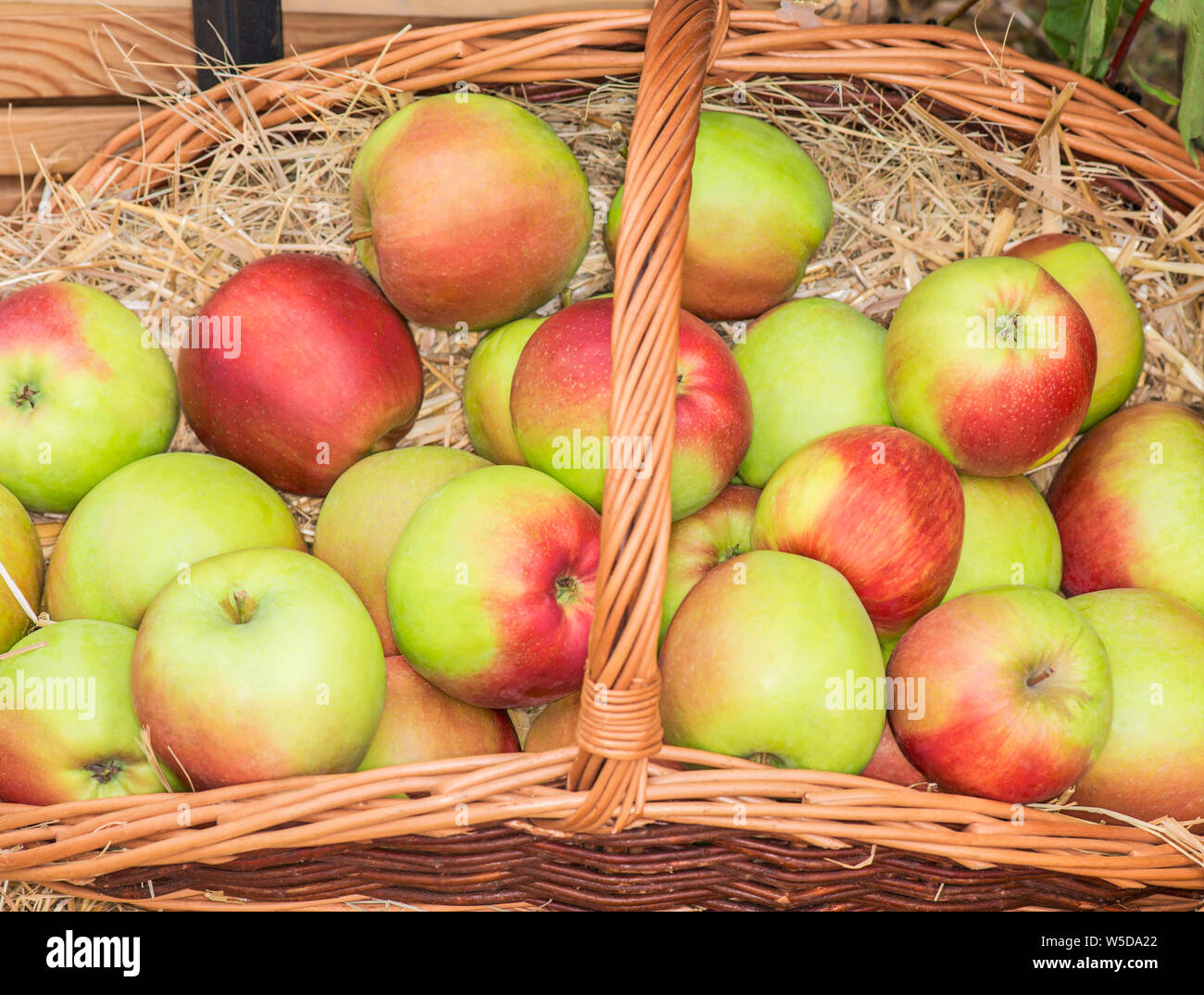 Bottom of apples hi-res stock photography and images - Alamy