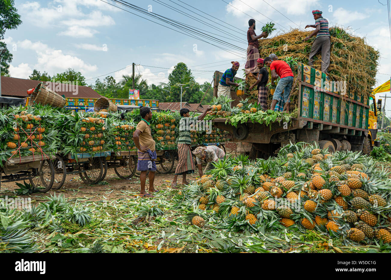 Farmingpassion hi-res stock photography and images - Alamy