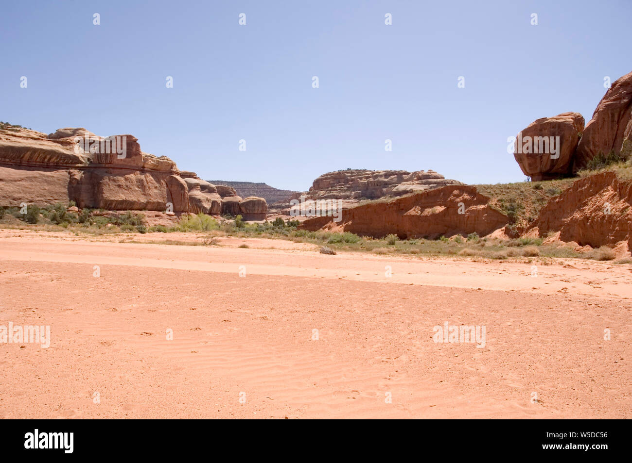 Landscape shot, looking south in the Davis Canyon of the Canyonlands ...