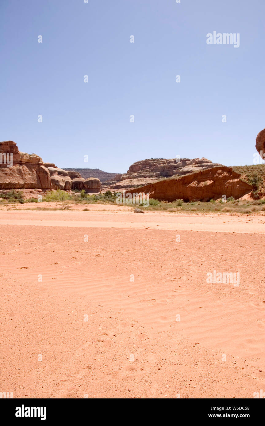 Landscape shot, looking south in the Davis Canyon of the Canyonlands ...