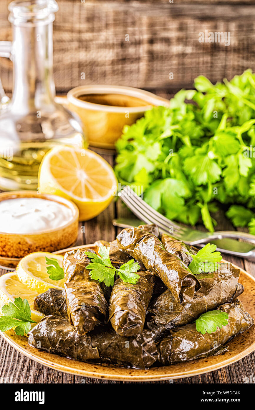 Dolma, stuffed grape leaves with rice and meat on dark background ...