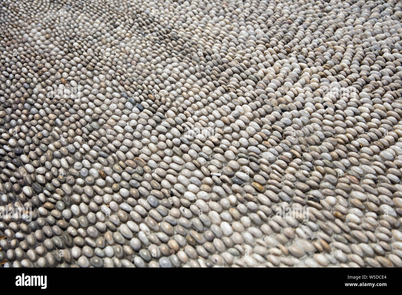 Closeup detail of the oval stone pathway Stock Photo - Alamy