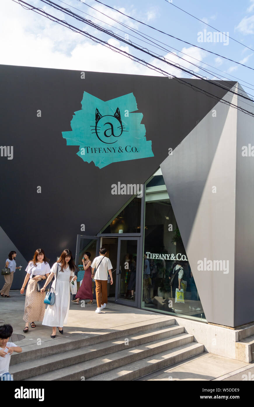 Asian street cat hi-res stock photography and images - Alamy