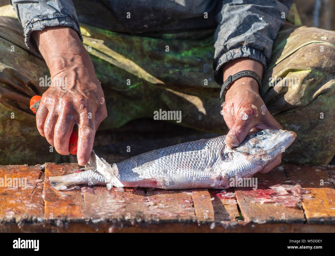 Dirty hands food hi-res stock photography and images - Alamy