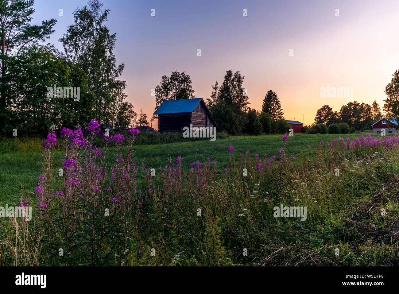 Traditional red nordic wooden shed in Finland during a colorful sunset ...